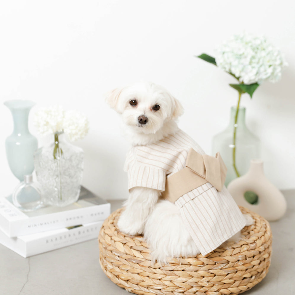 Dog Clothes & Suppliers | monchéri – mon cheri